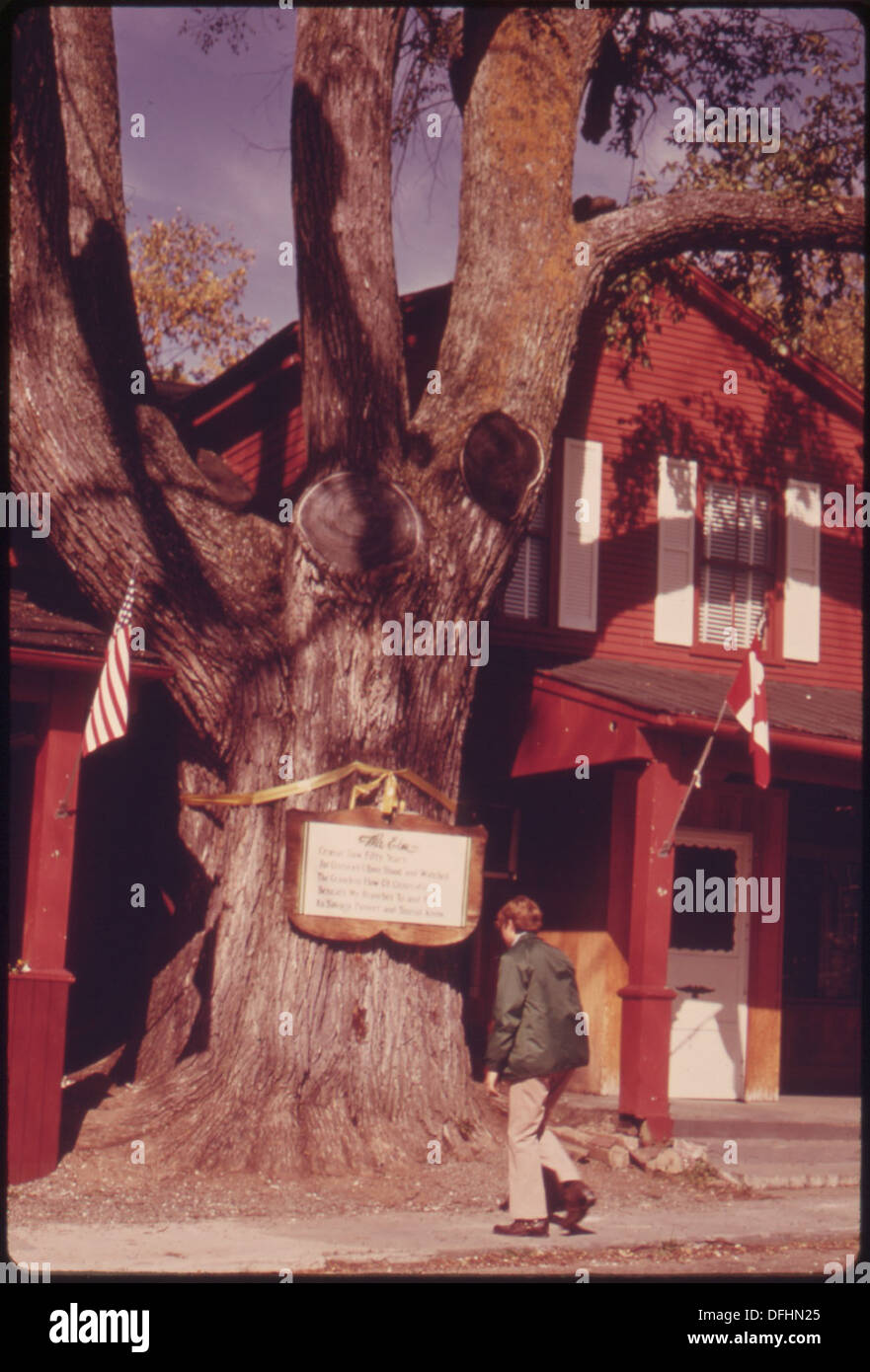 The Elm Tree Inn High Resolution Stock Photography and Images - Alamy