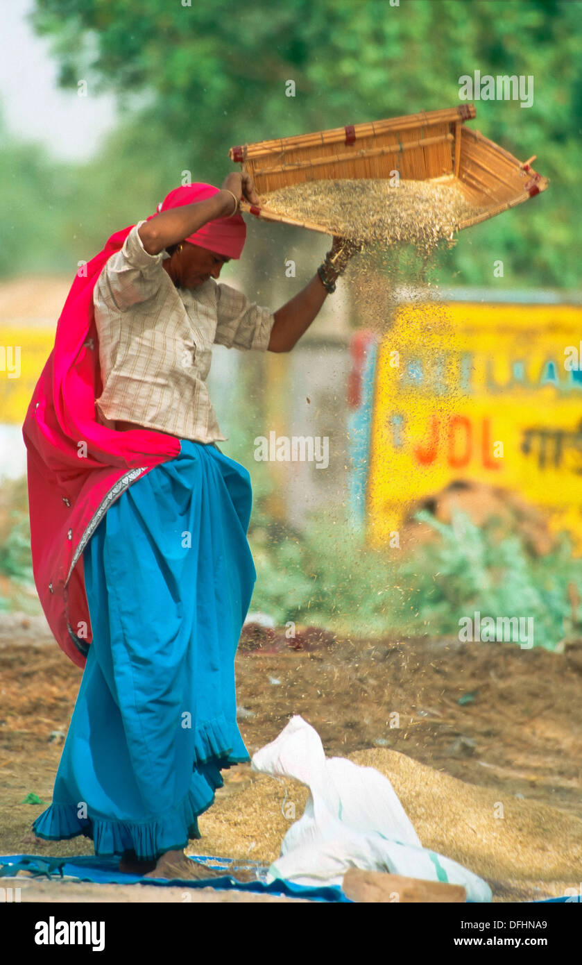 Woman winnowing wheat hi-res stock photography and images - Alamy