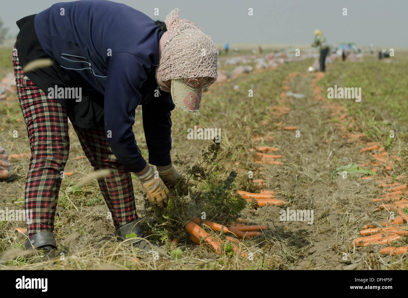 Tractor on food packaging hi-res stock photography and images - Alamy
