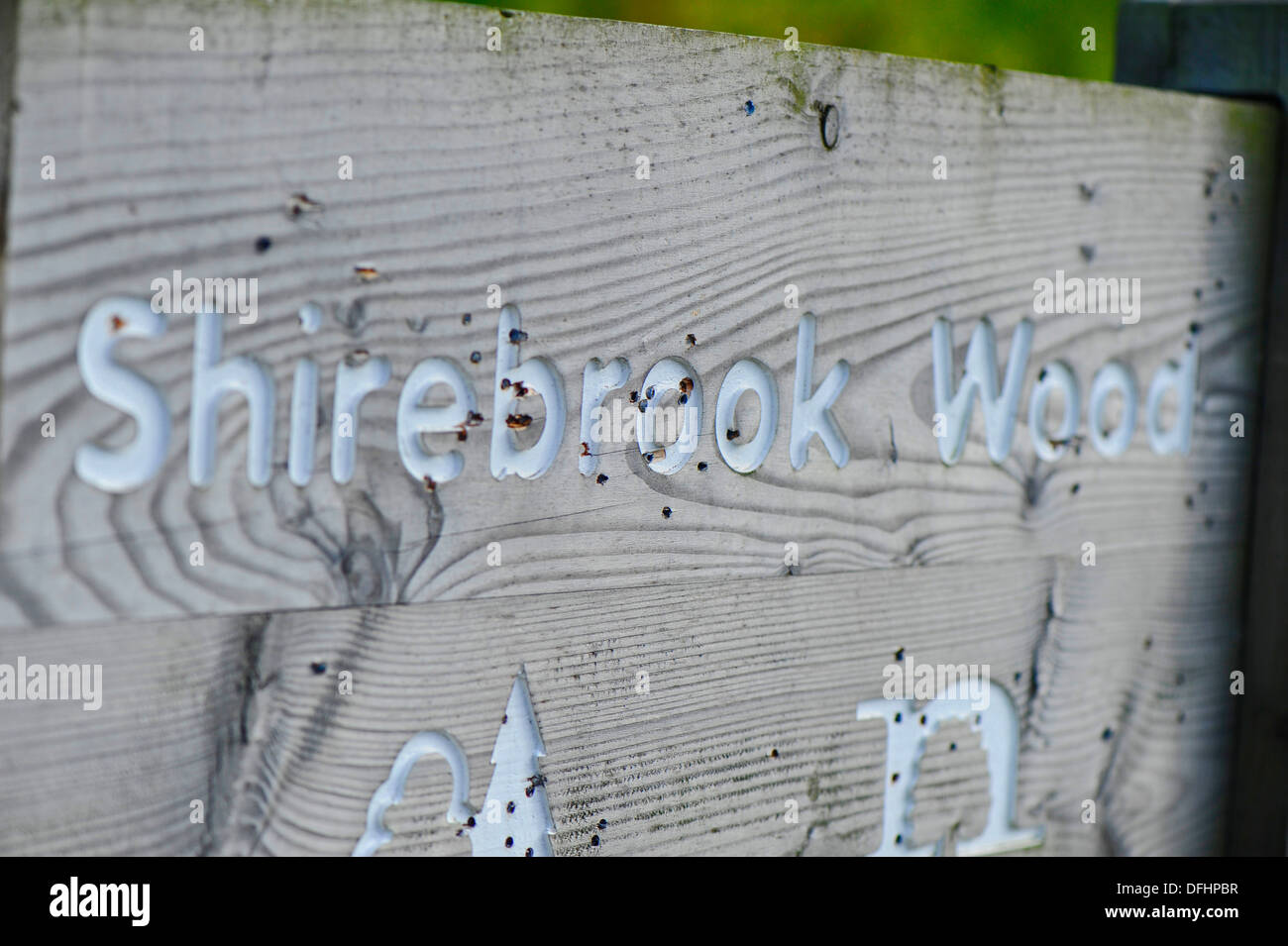 Forest commission wooden notice board in Shirebrook Wood peppered with ...