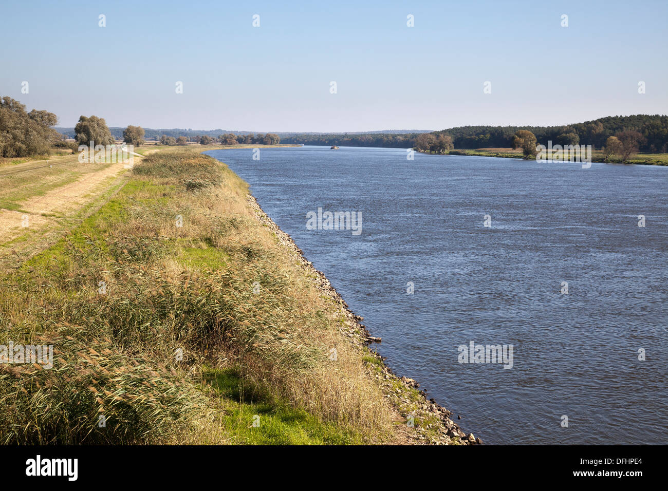 River Oder by Krajnik Dolny, West, Pomerania, Poland Stock Photo - Alamy