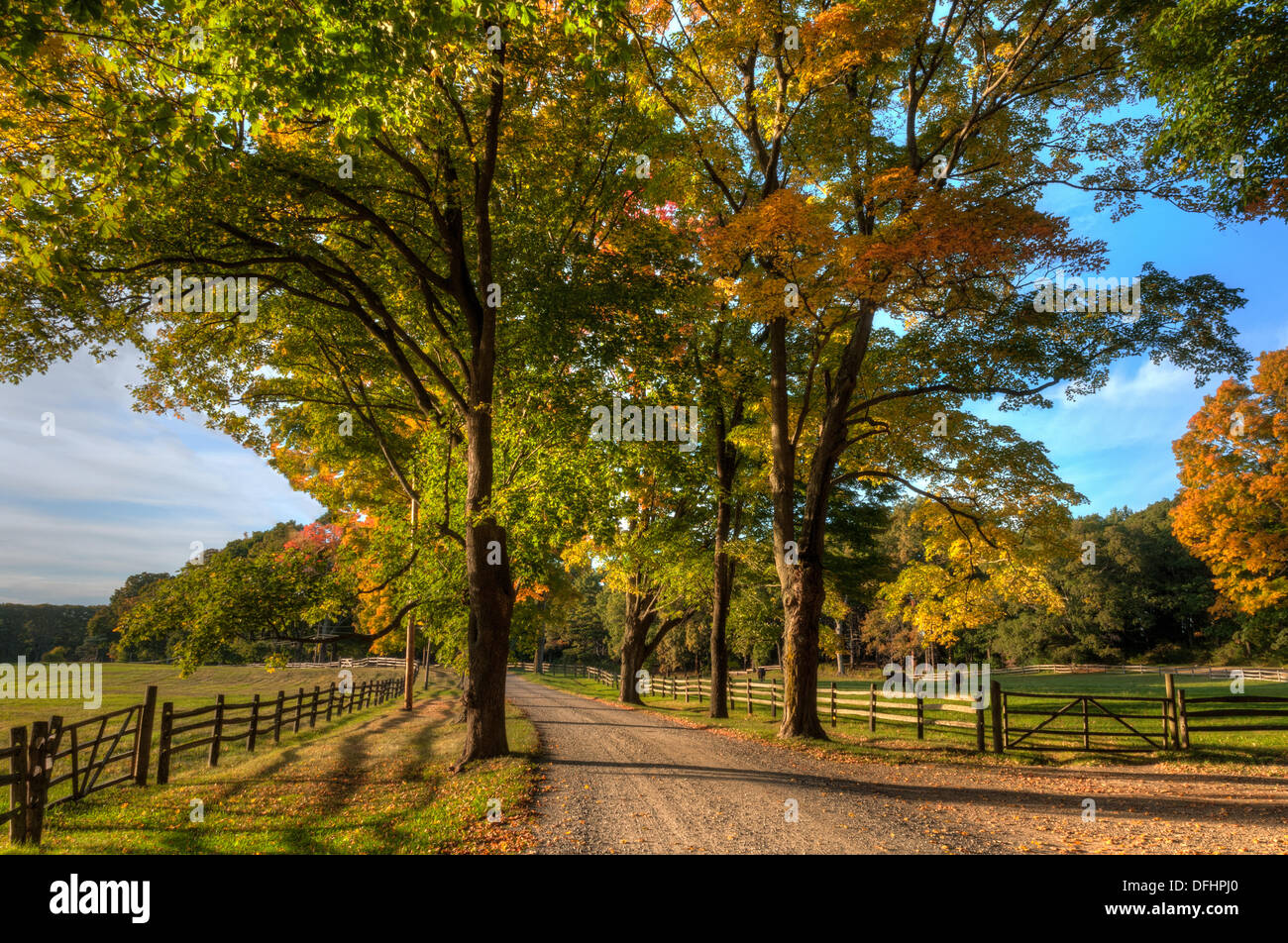 Paul mozell hi-res stock photography and images - Alamy