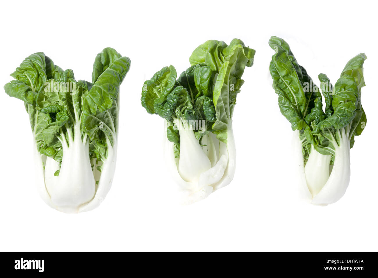 Choi bok hi-res stock photography and images - Alamy