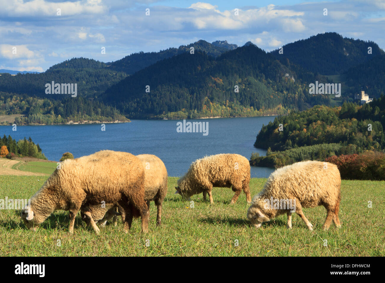 Pieniny mountains with Niedzica castle over Czorsztynskie lake, and ...