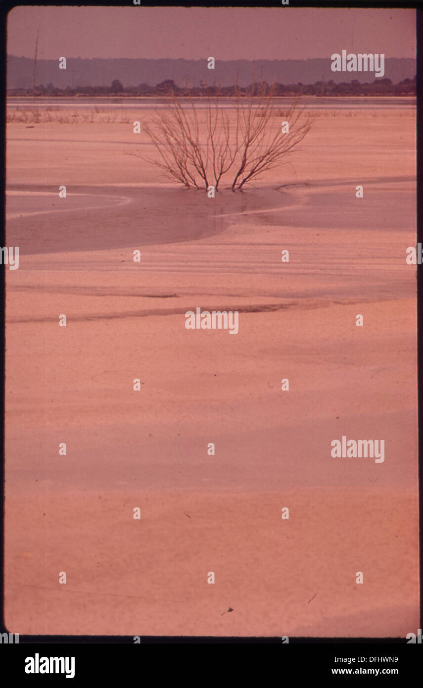 This image shows a holding pond located behind the Olin-Mathieson plant ...