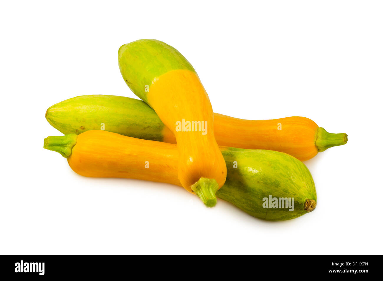 Squash isolated on white background Stock Photo - Alamy