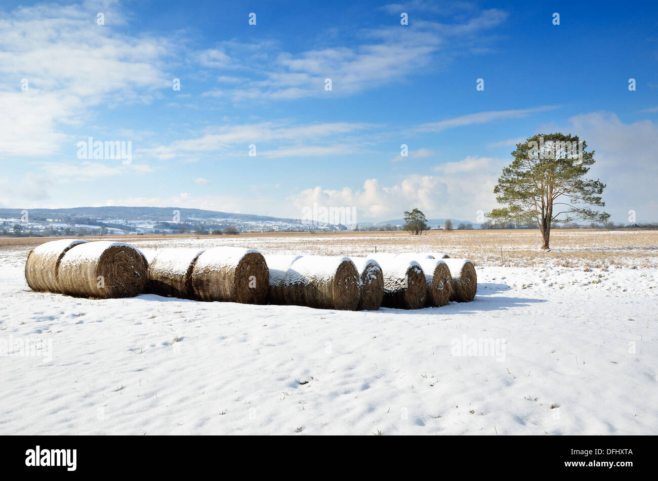Modern straw bales hi-res stock photography and images - Alamy