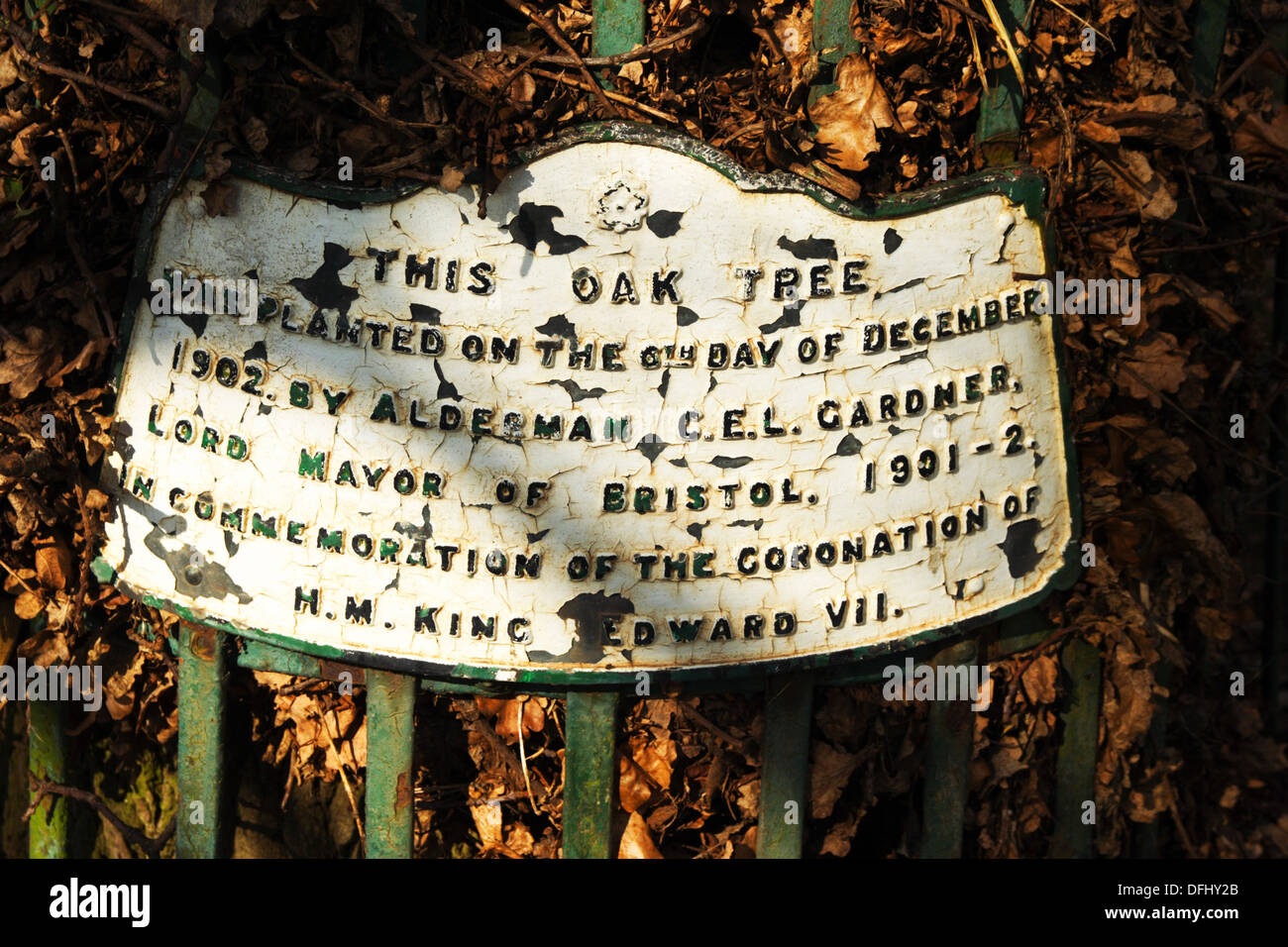 A rusty iron sign commemorating the planting of an oak tree in 1902 ...