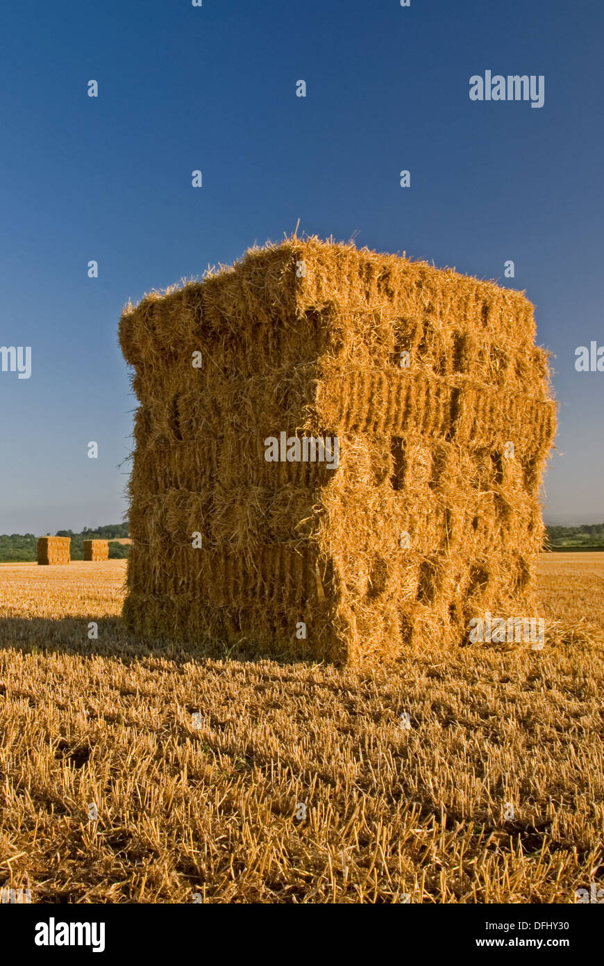 Image haystack hi-res stock photography and images - Alamy