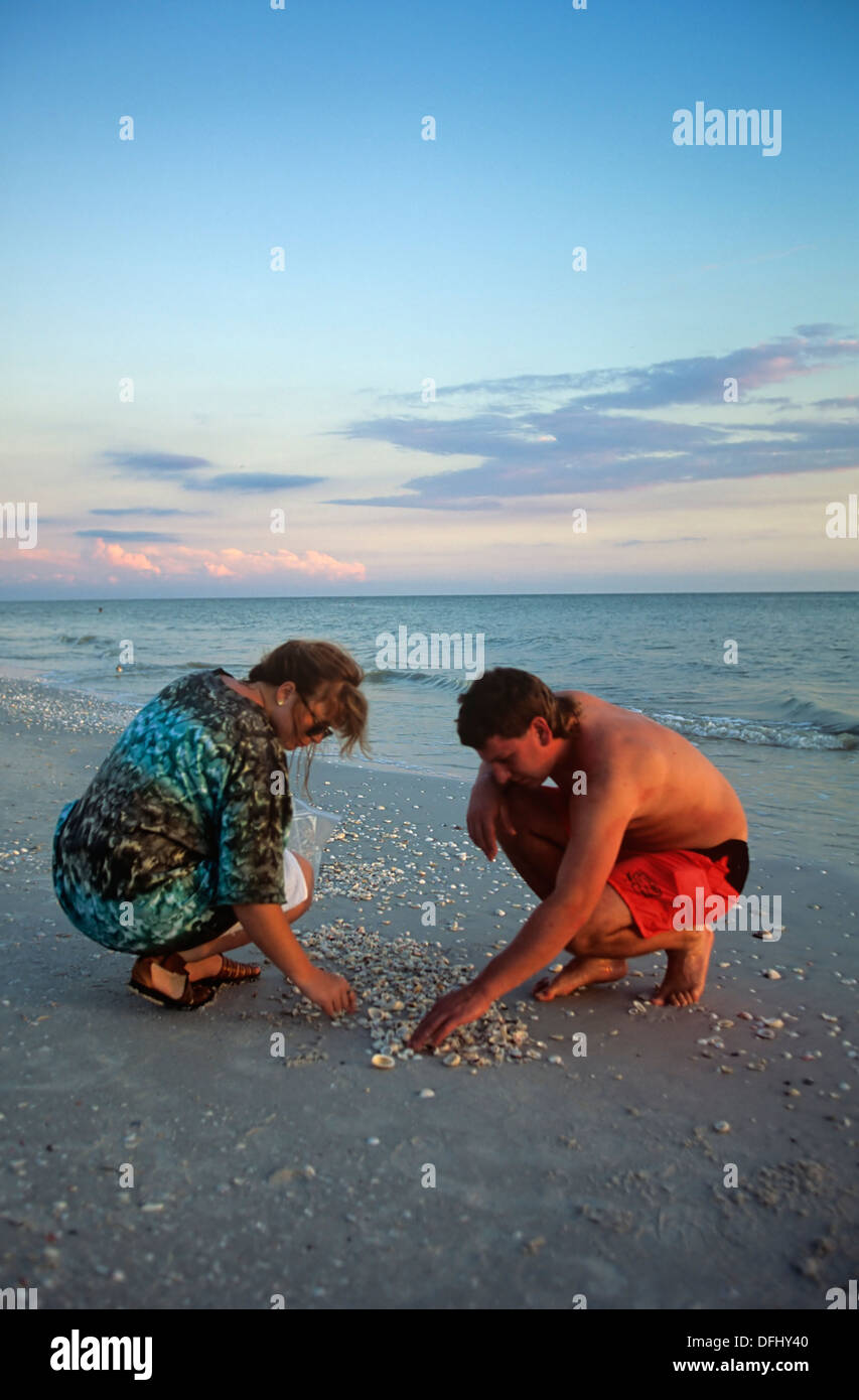 Collecting seashells on the shores of Sanibel and Captiva Islands ...
