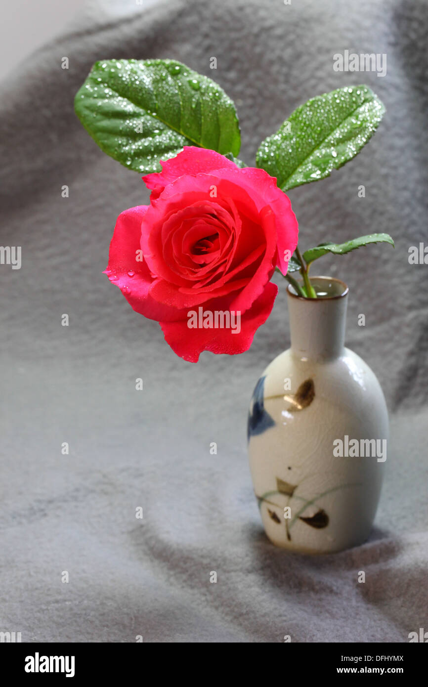Romantic Single Red Rose in a Vase Stock Photo - Alamy