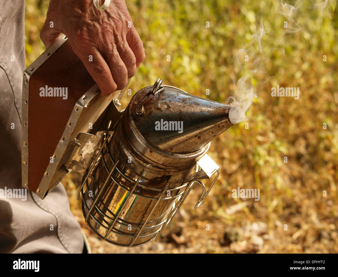 Beekeeping bee hive smoker hi-res stock photography and images - Alamy