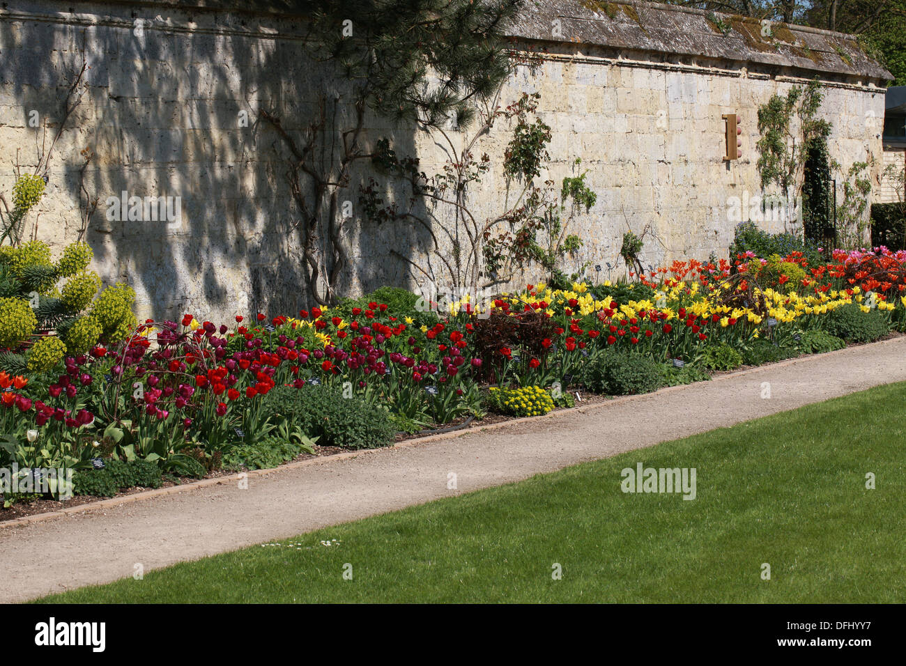 Spring Border of Tulips, Oxford Botanical Gardens, Oxford University ...