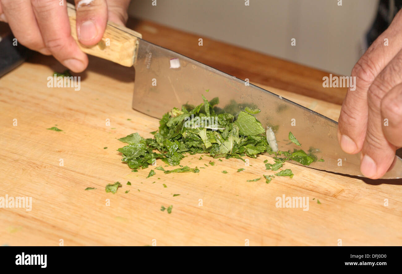 Indian mint plant hi-res stock photography and images - Alamy