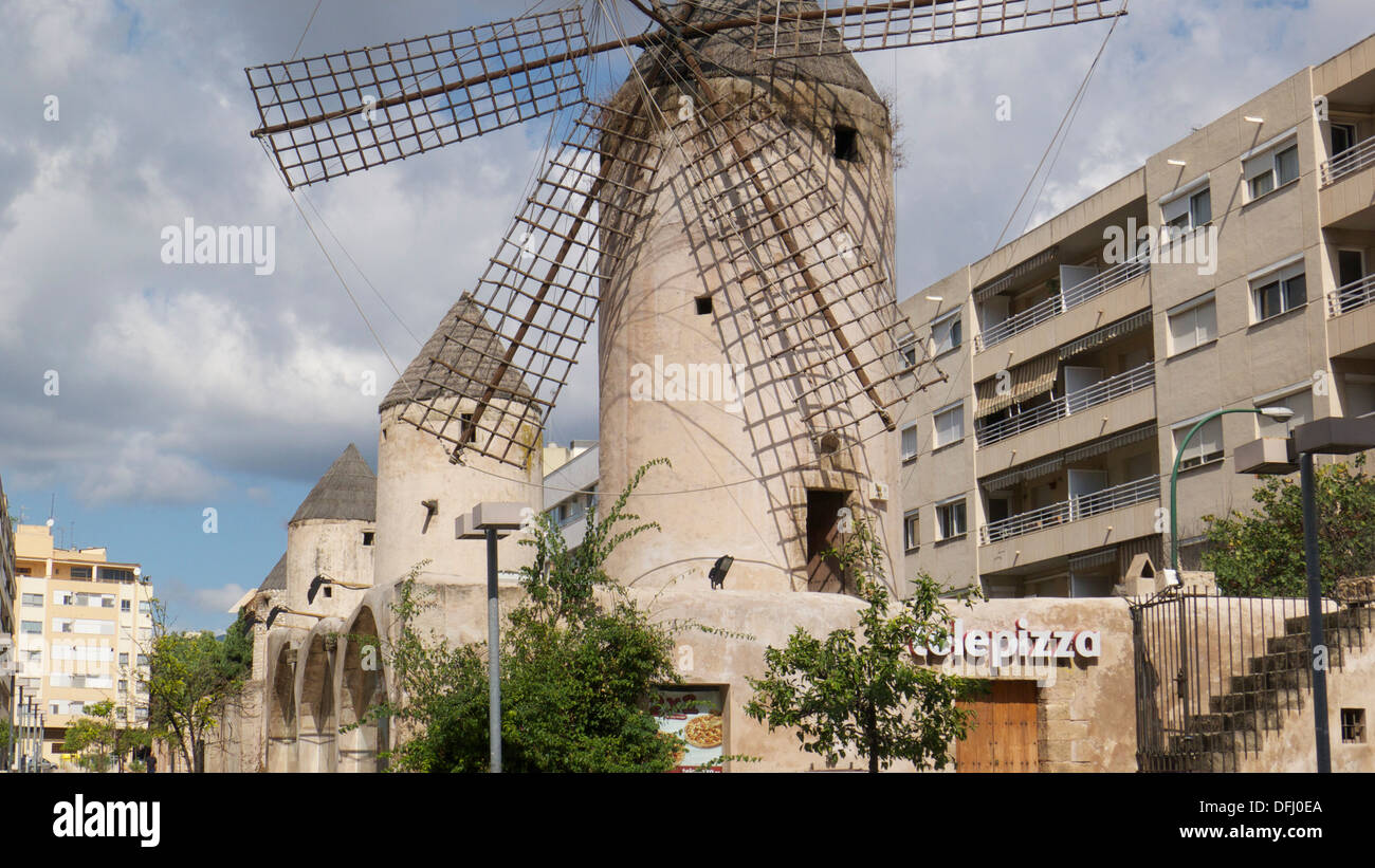 Row of restored traditional windmills between apartment buildings ...