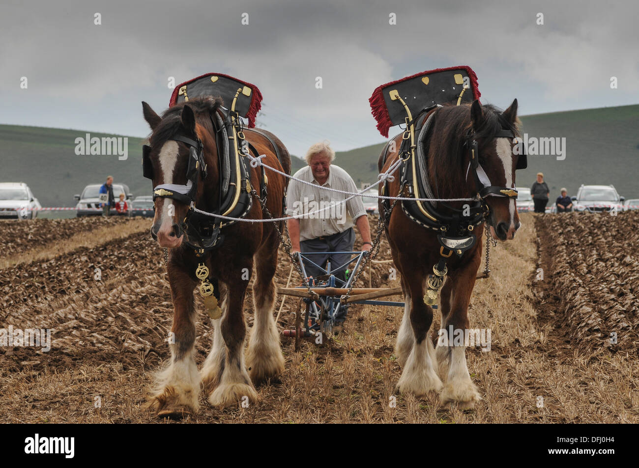 Ploughing horses hi-res stock photography and images - Alamy