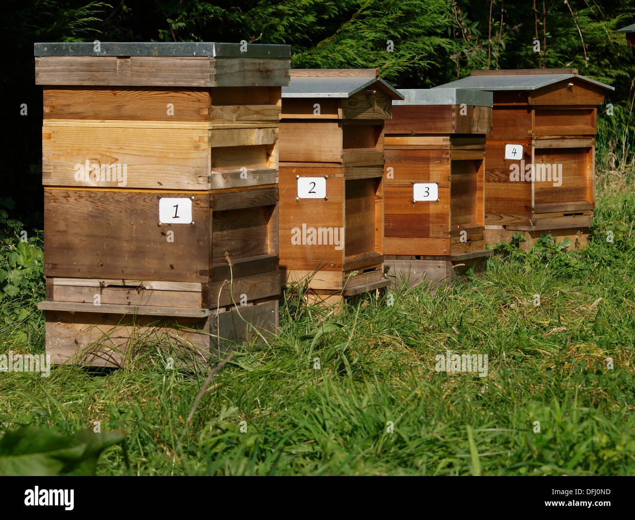 Hives for honey bees hi-res stock photography and images - Alamy