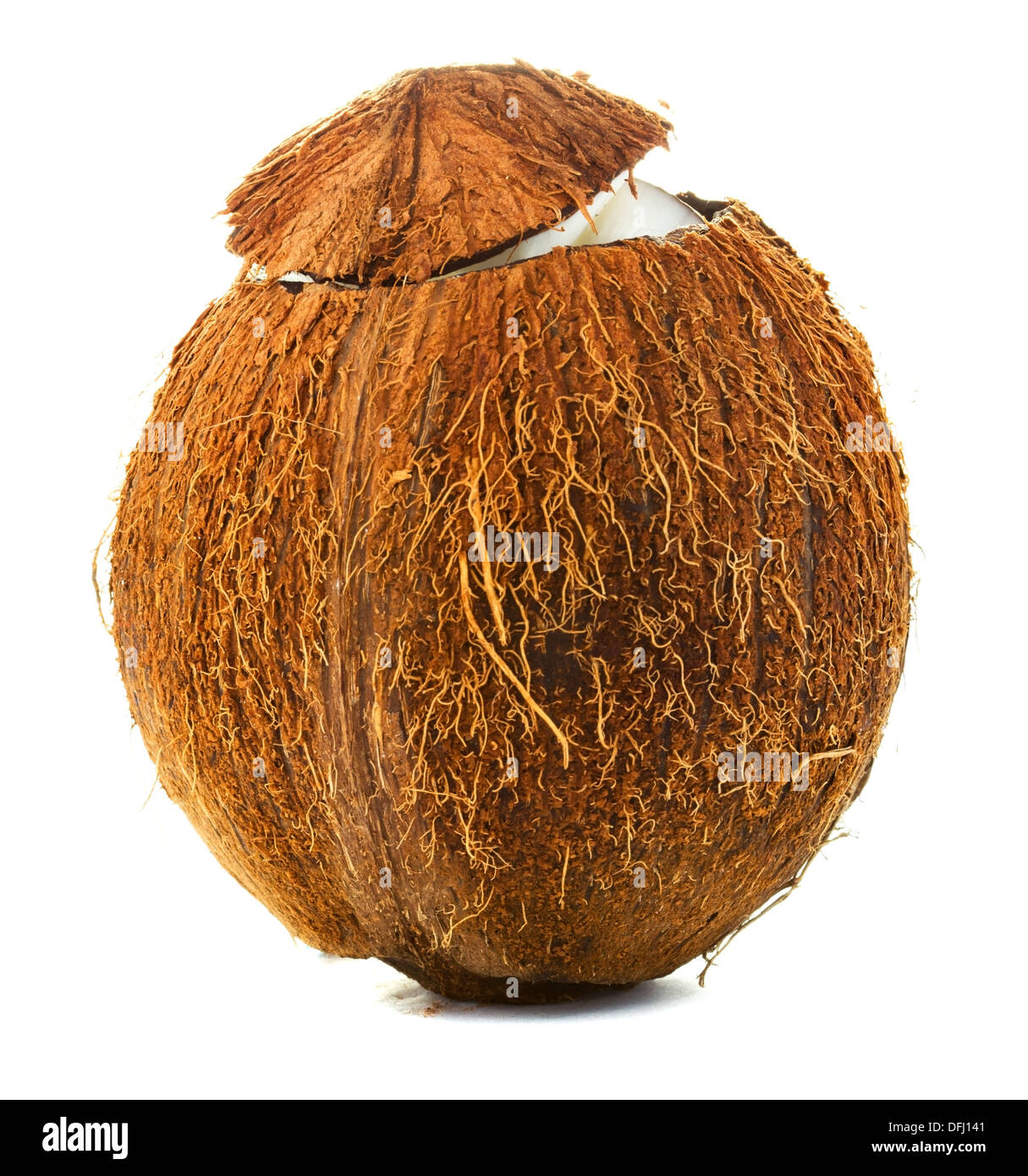 Coconuts seeds hi-res stock photography and images - Alamy