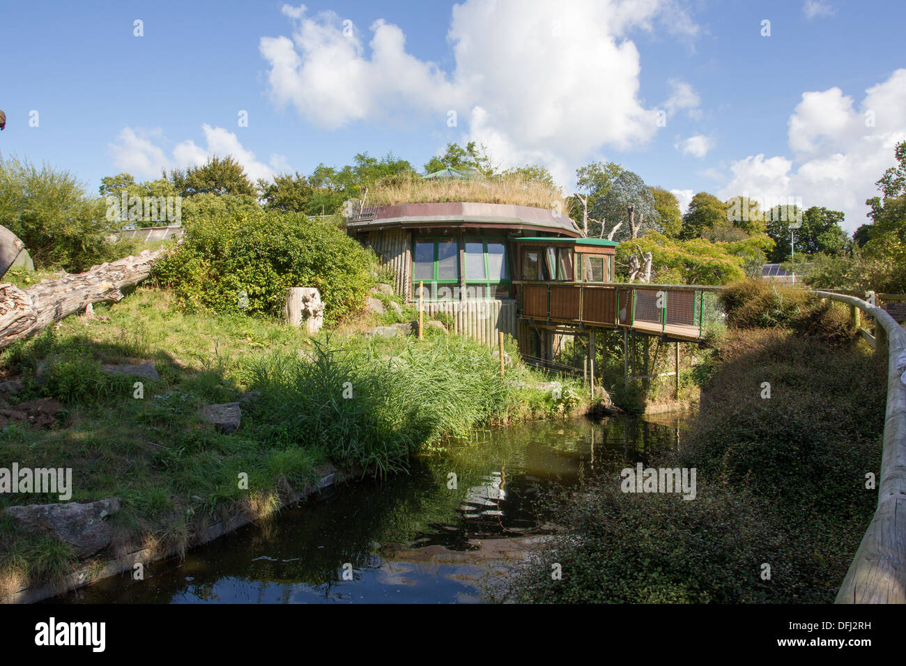 Durrell Wildlife Conservation Trust Stock Photo - Alamy