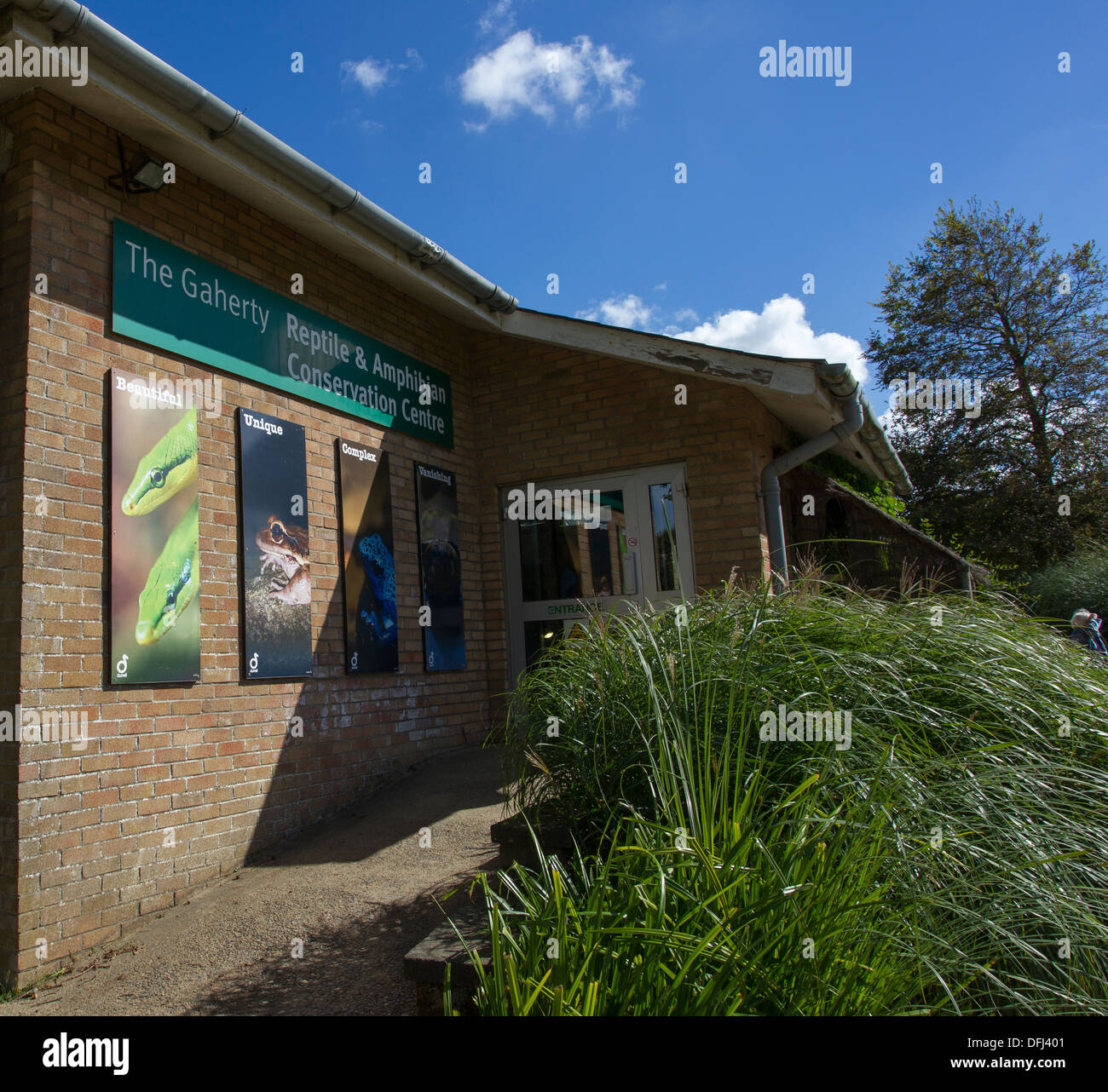 Durrell Wildlife Conservation Trust Stock Photo - Alamy