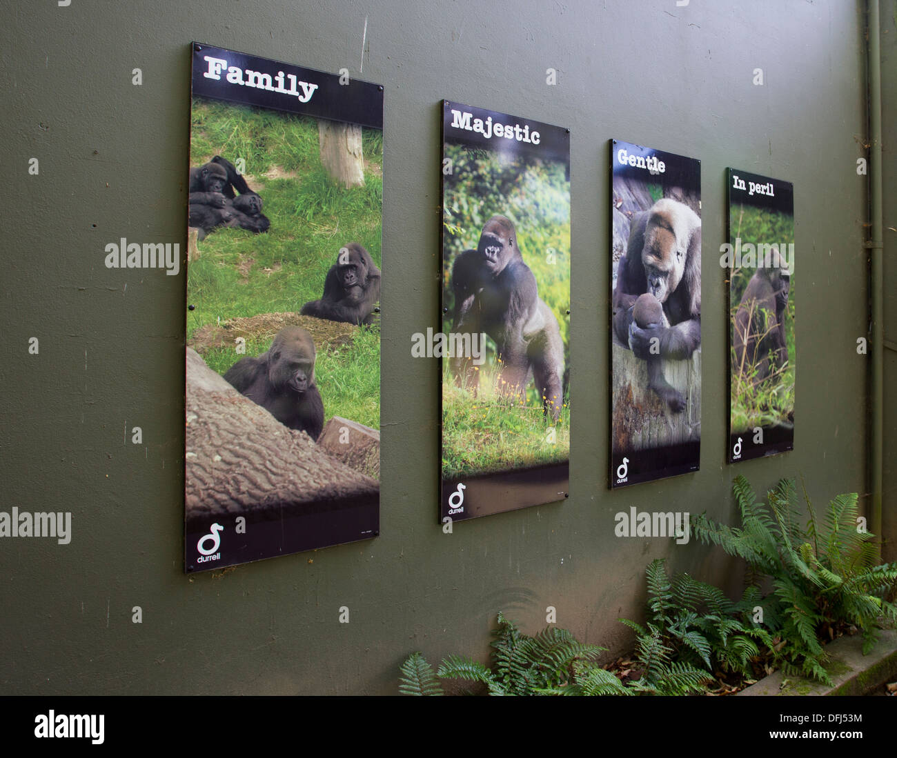 Durrell Wildlife Conservation Trust Stock Photo - Alamy