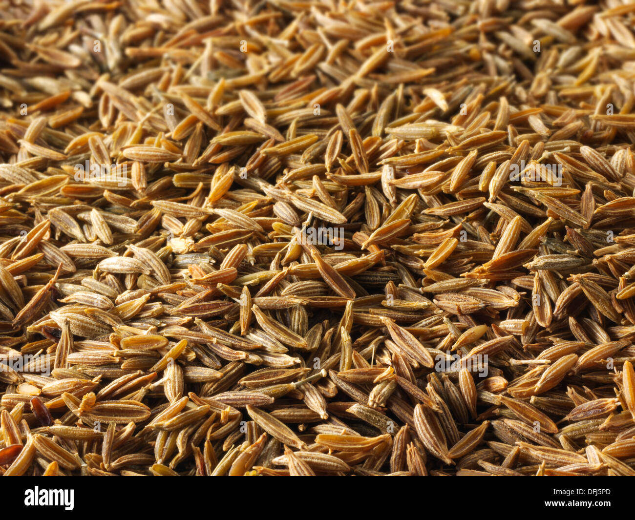 Cumin seeds hi-res stock photography and images - Alamy
