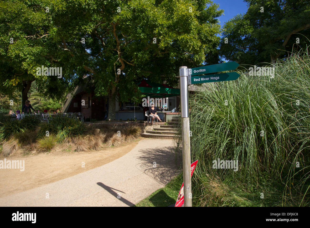 Durrell Wildlife Conservation Trust Stock Photo - Alamy