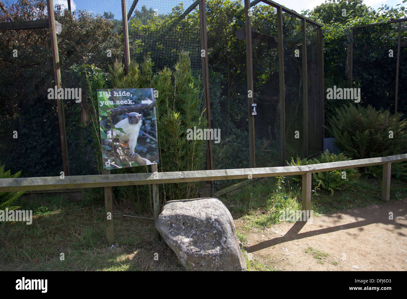 Durrell Wildlife Conservation Trust Stock Photo - Alamy