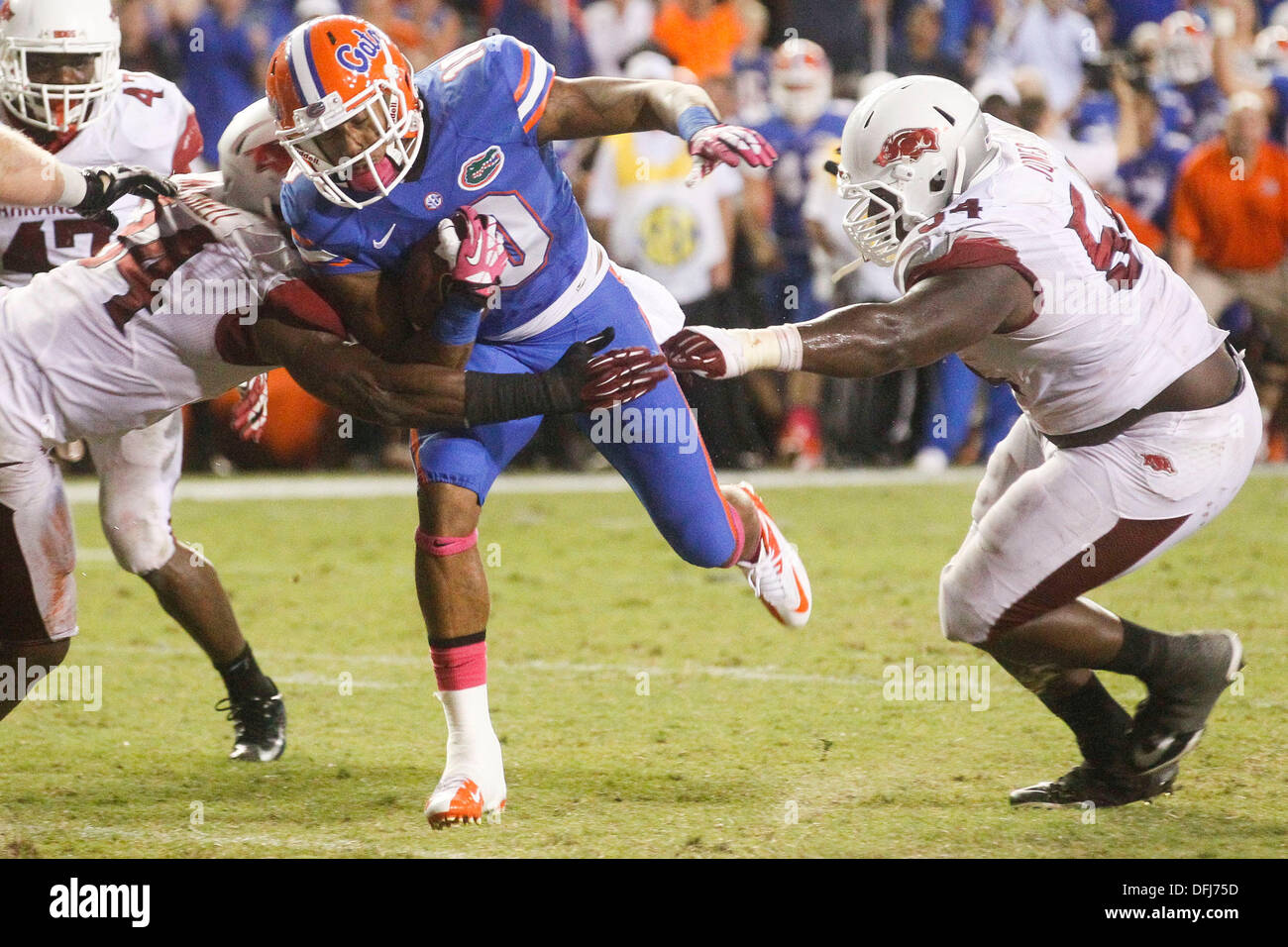 Gainesville, Florida, USA. 5th Oct, 2013. EVE EDELHEIT | Times .Florida ...