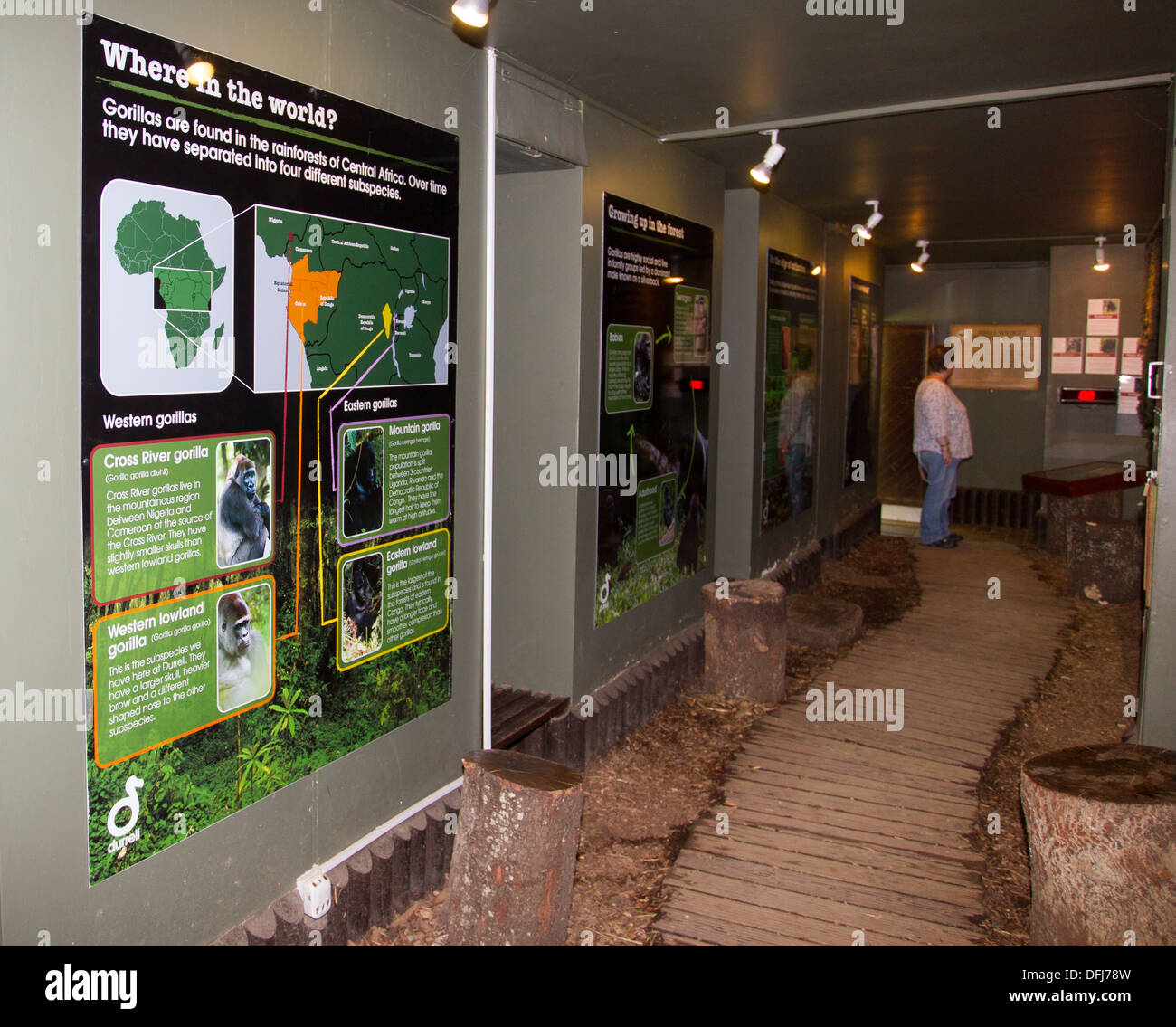 Durrell Wildlife Conservation Trust Stock Photo - Alamy