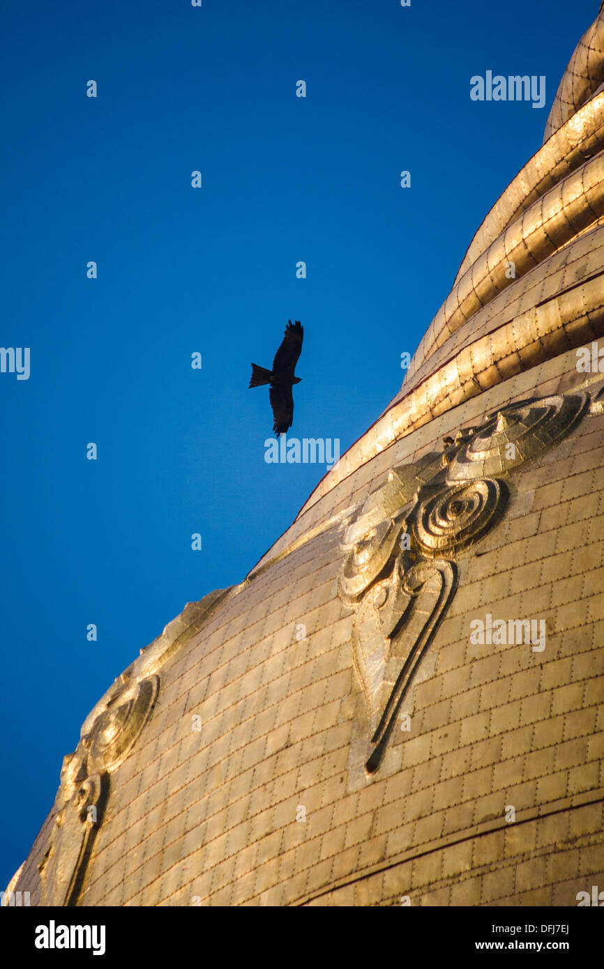 Bird of prey flying past Shwedagon pagoda. Yangon Myanmar. Portrait ...