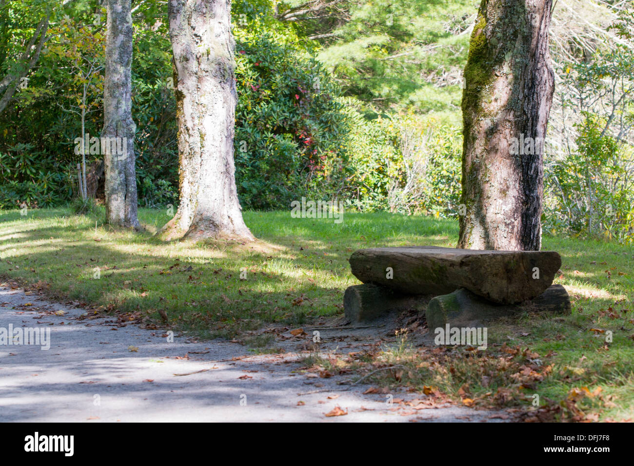 Split log bench hi-res stock photography and images - Alamy