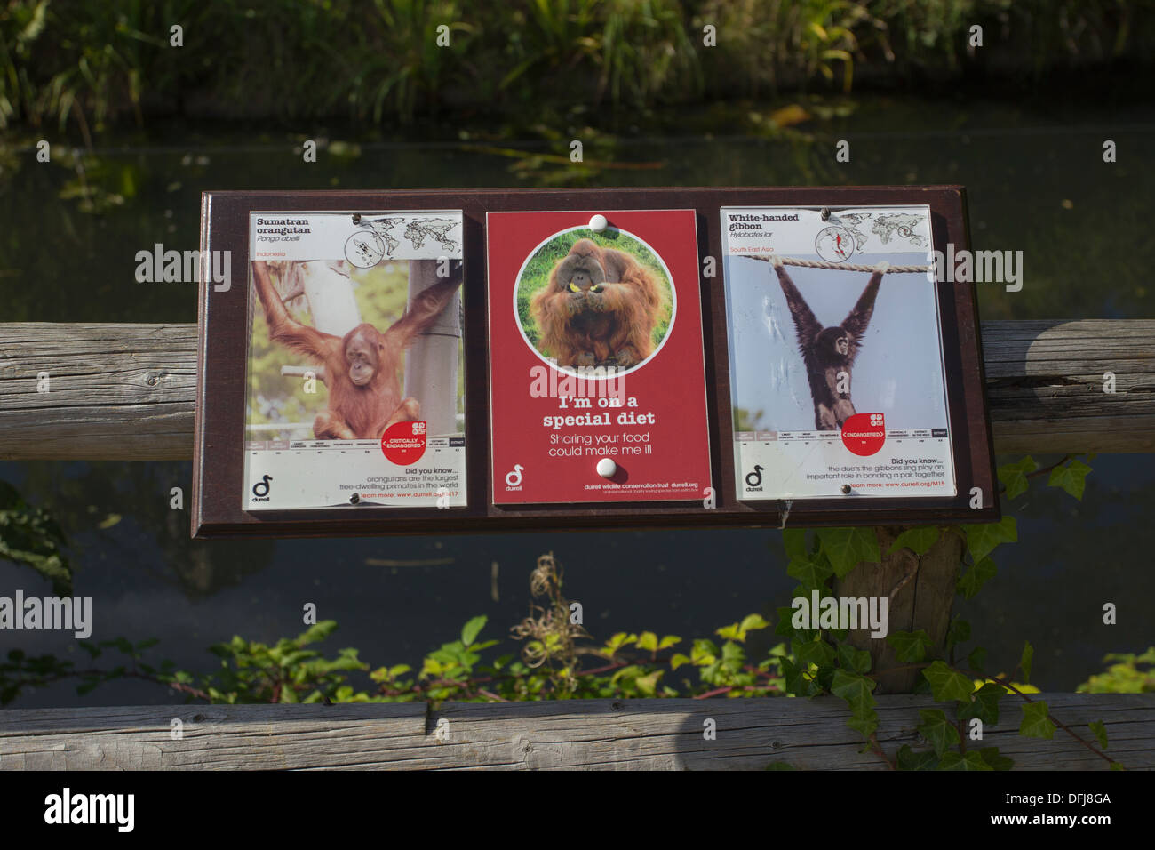 Durrell Wildlife Conservation Trust Stock Photo - Alamy