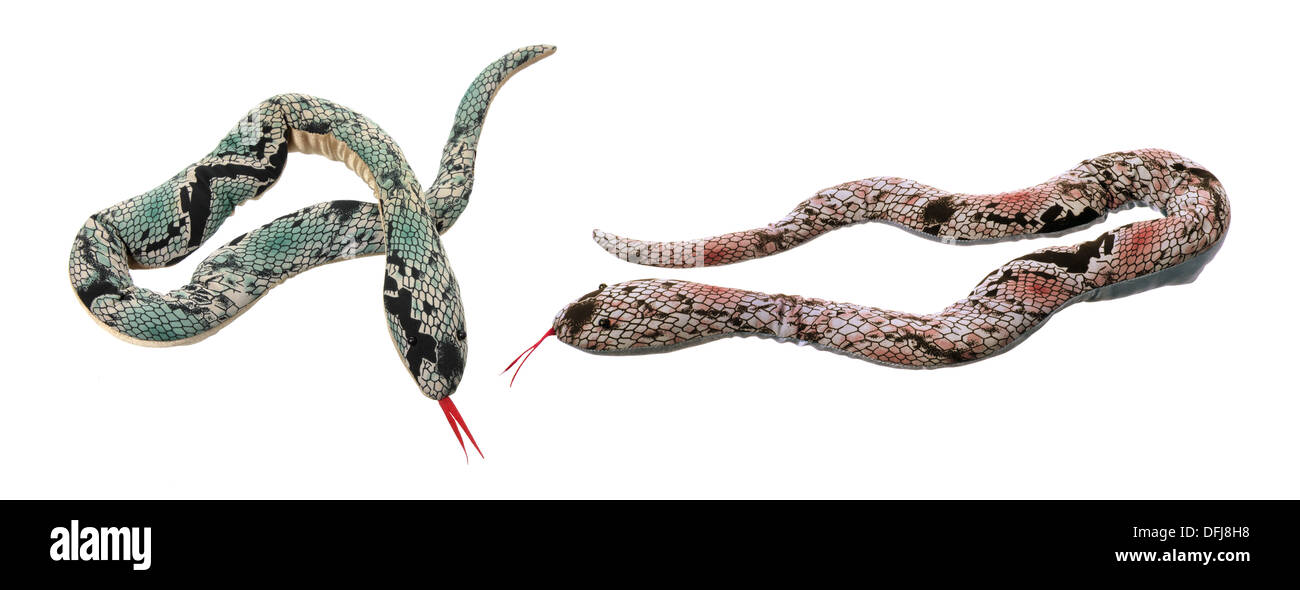 Poison snakes hi-res stock photography and images - Alamy