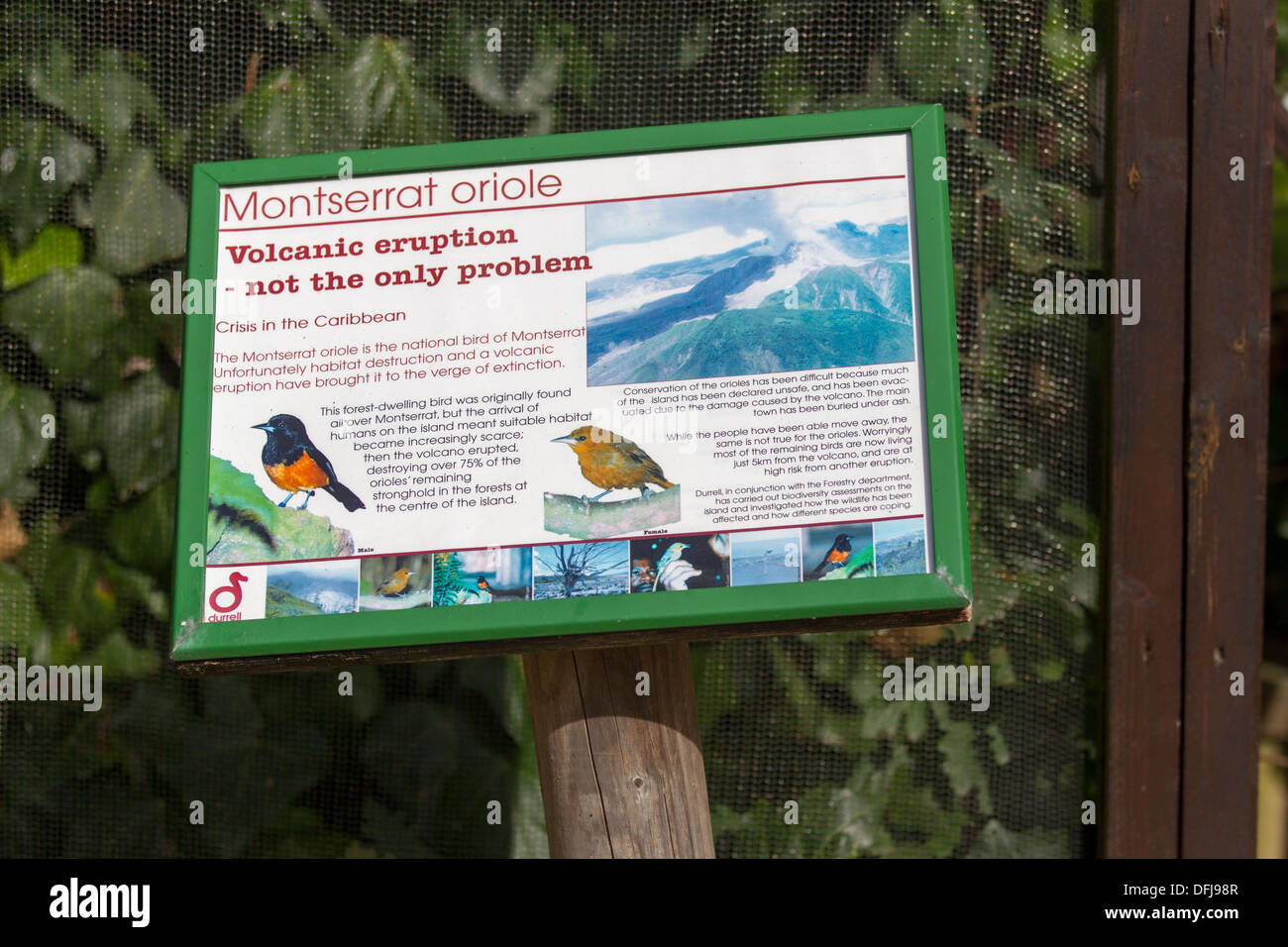 Durrell Wildlife Conservation Trust Stock Photo - Alamy