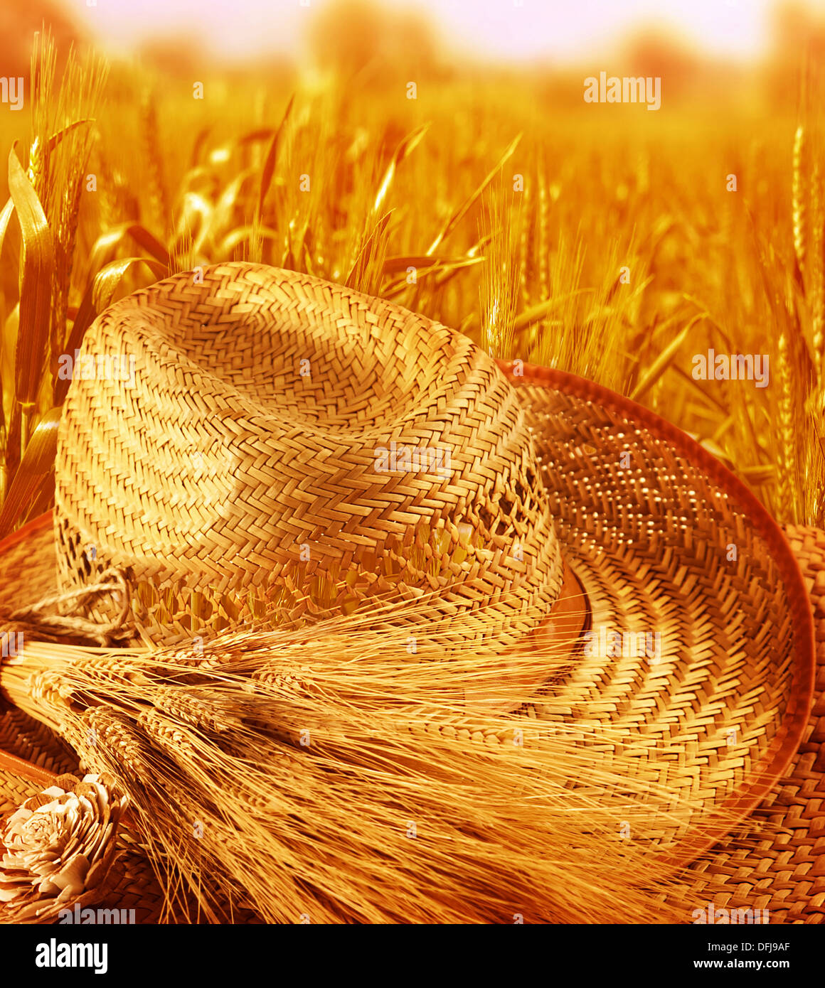 Straw hat on wheat field, beautiful golden rye meadow, harvest season ...