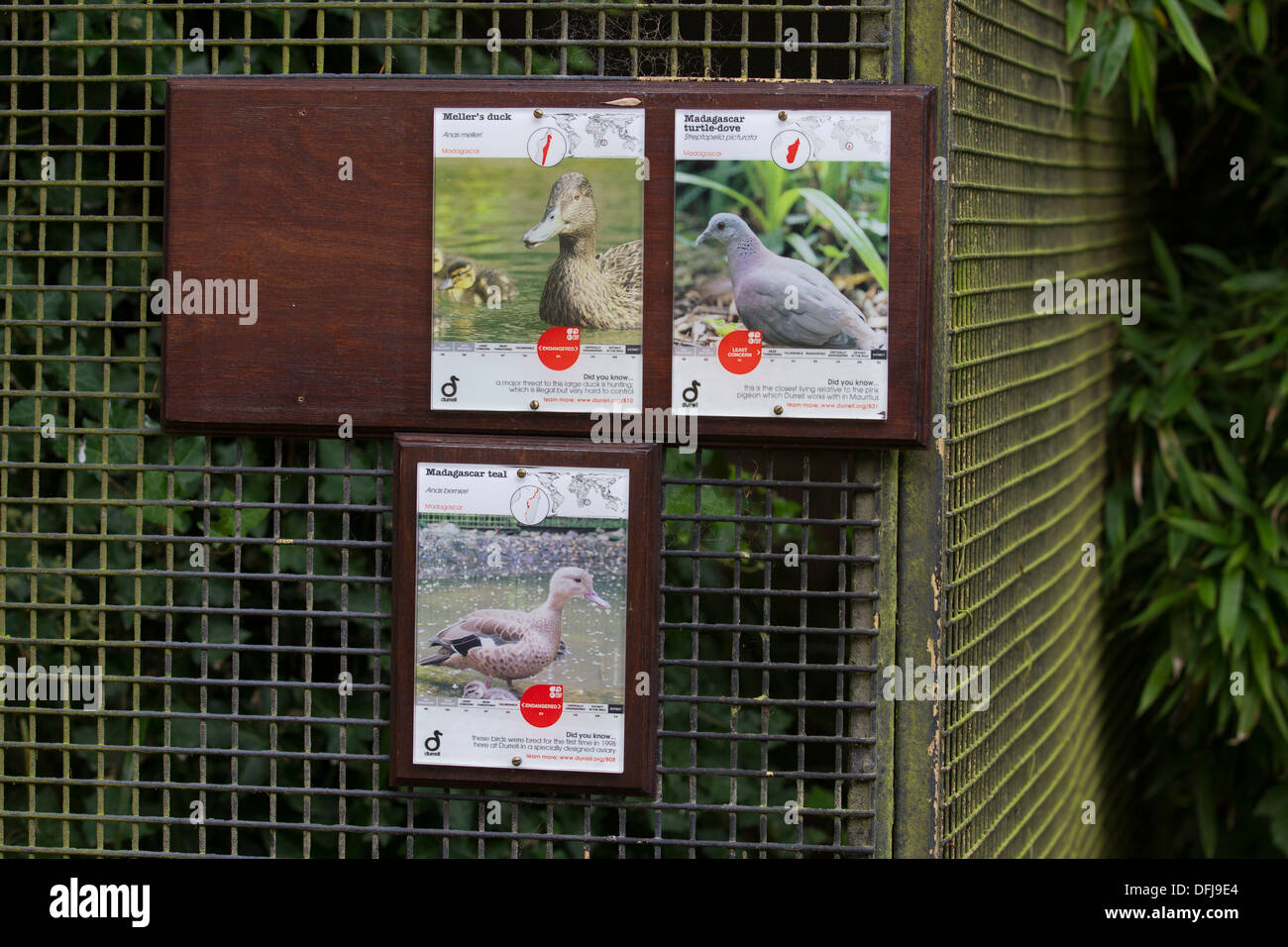 Durrell Wildlife Conservation Trust Stock Photo - Alamy