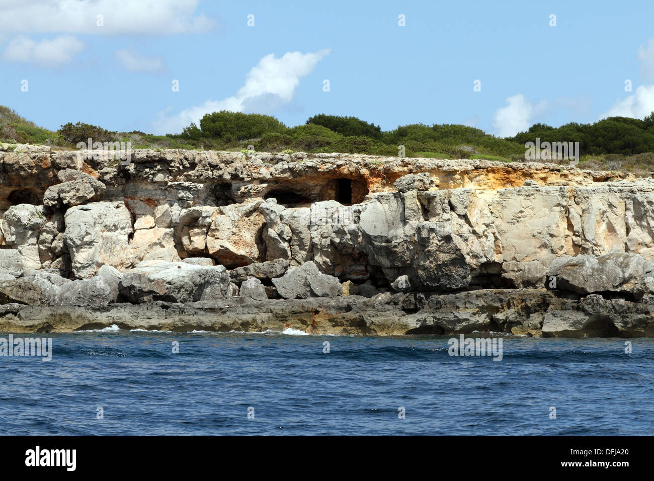 Flora and fauna of menorca hi-res stock photography and images - Alamy