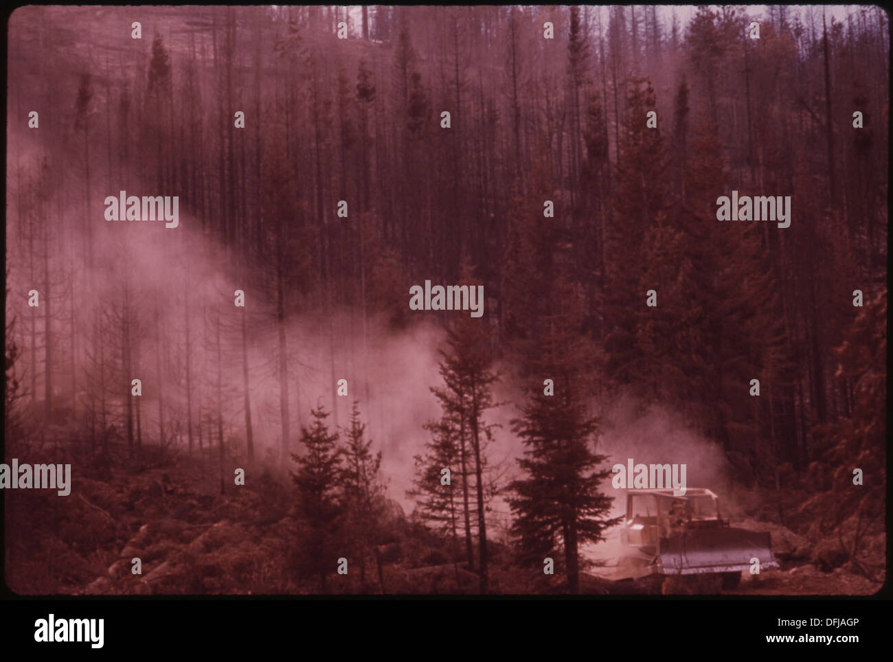 A major forest fire in August 1973 swept through the western slopes of ...