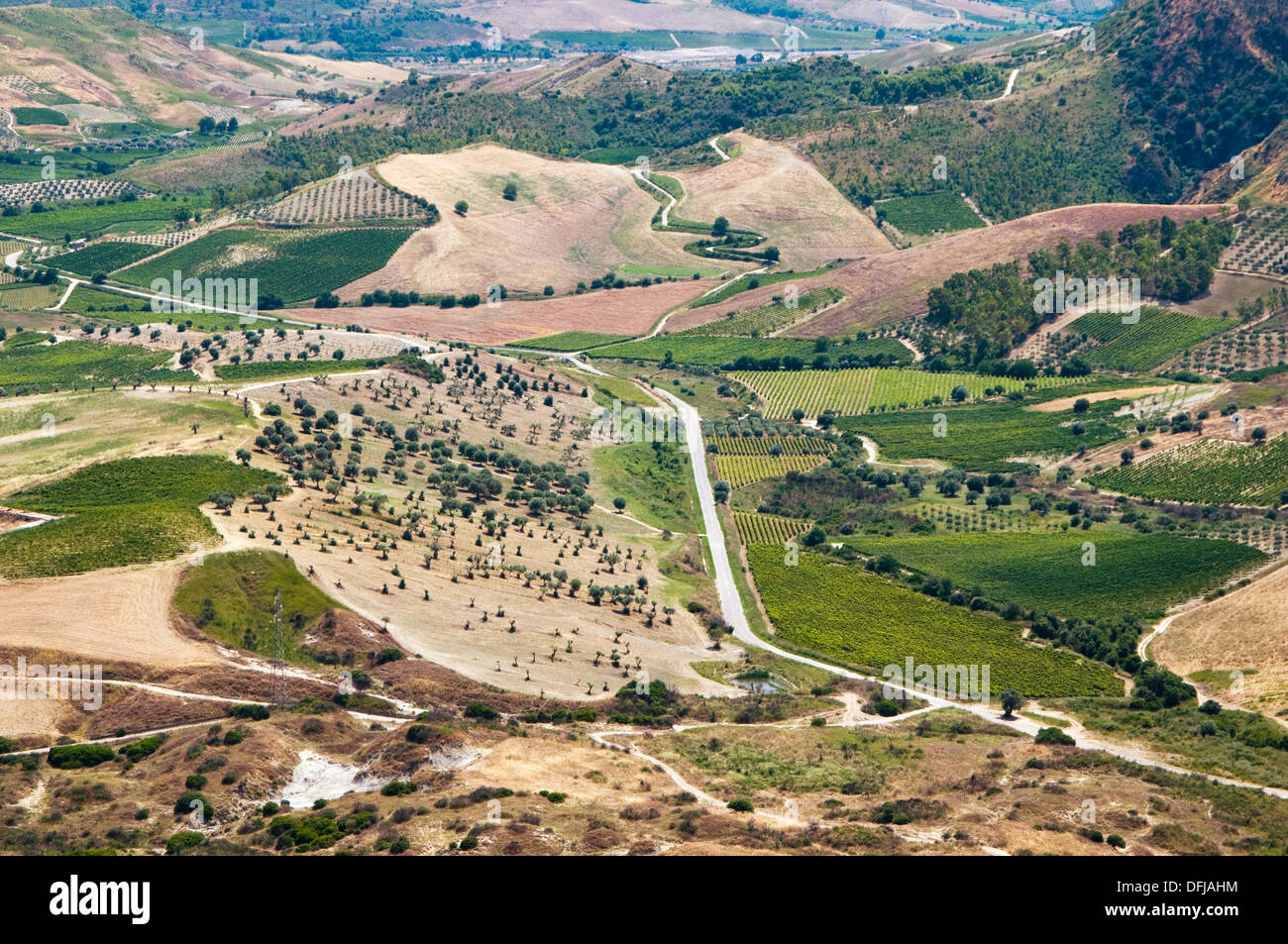 Calabria vineyard hi-res stock photography and images - Alamy