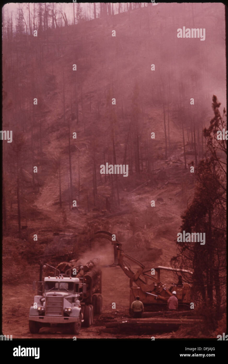 553632 hi-res stock photography and images - Alamy