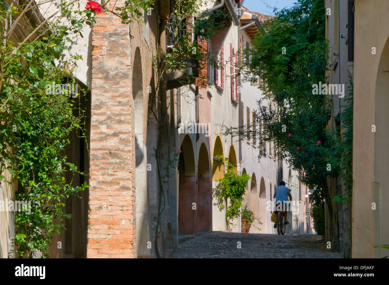 Vicolo dotti hi-res stock photography and images - Alamy