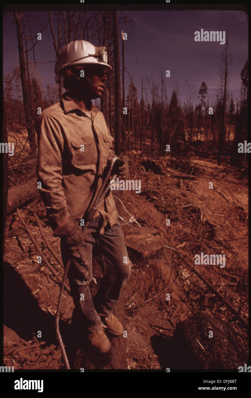 In August 1973, a significant forest fire consumed 17,470 acres of land ...