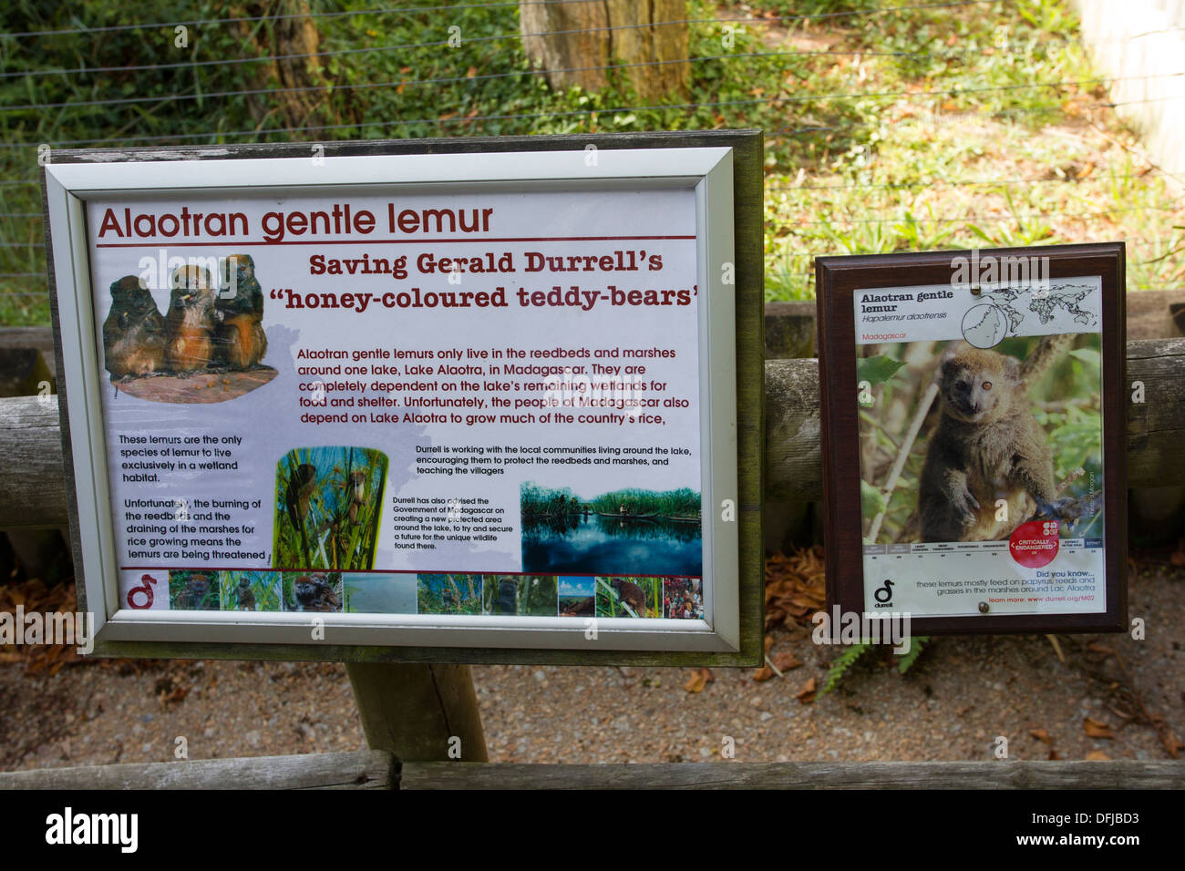 Durrell Wildlife Conservation Trust Stock Photo - Alamy
