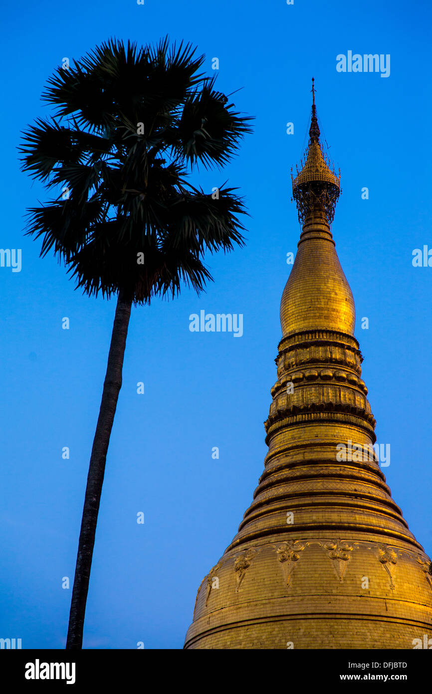 Palm tree portrait hi-res stock photography and images - Alamy