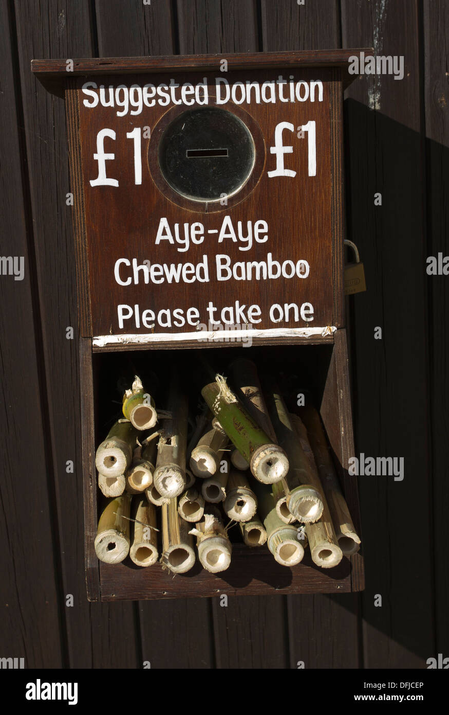 Durrell Wildlife Conservation Trust Stock Photo - Alamy