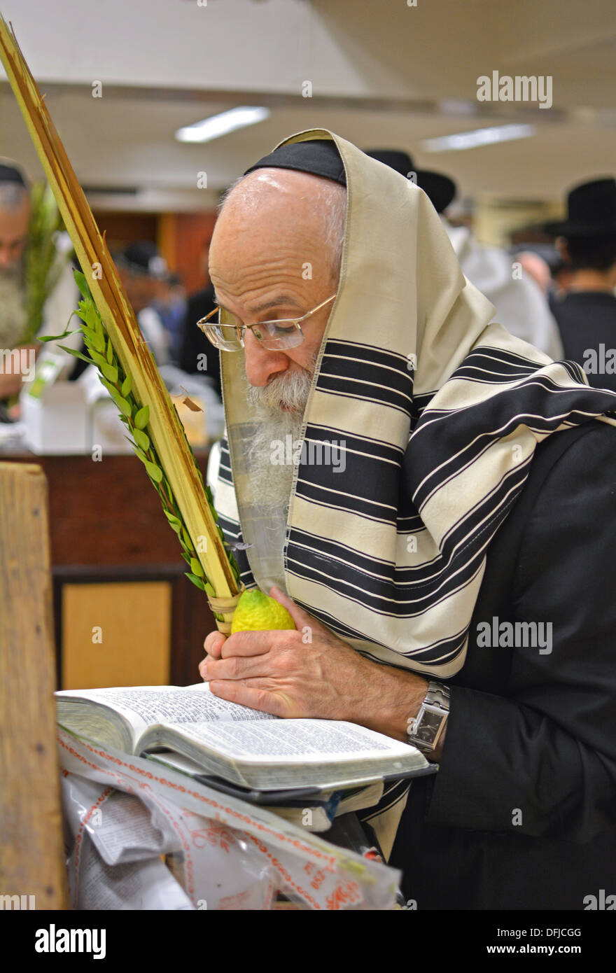A religious Jewish man with a beard holding an esrog and lulav at ...