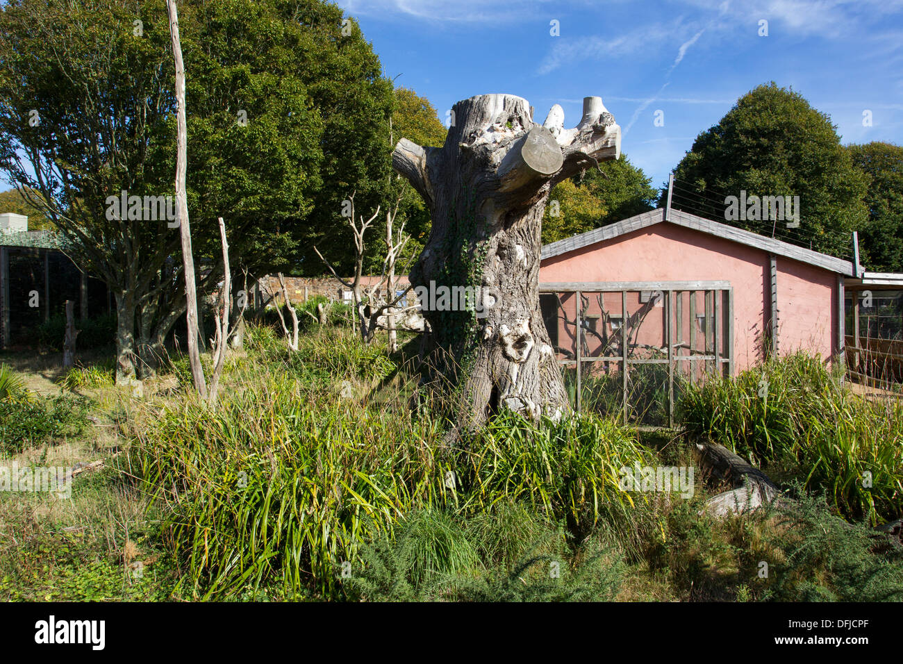 Durrell Wildlife Conservation Trust Stock Photo - Alamy