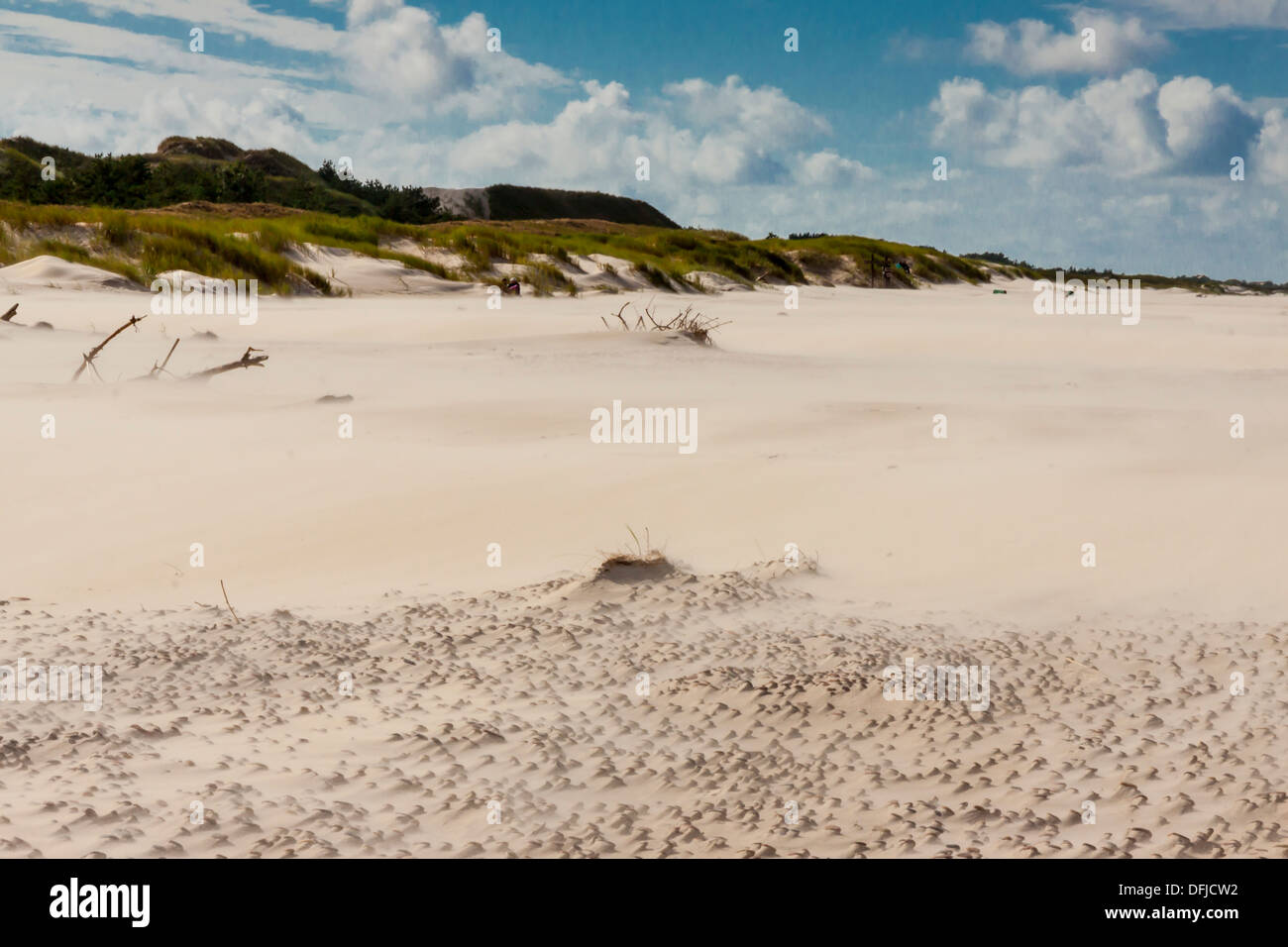 Golden sandy beach on windy day - Leba, Poland Stock Photo - Alamy