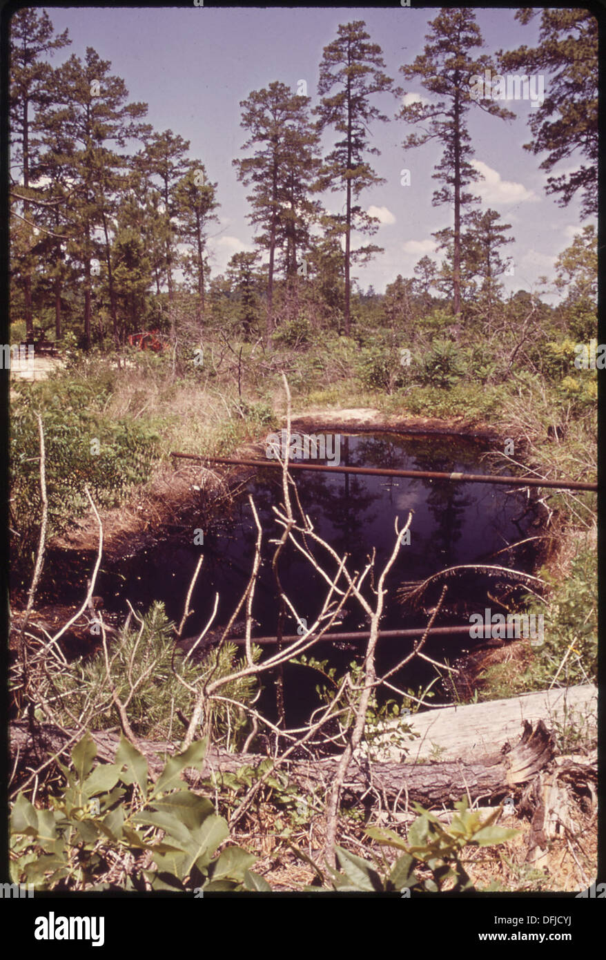 The Kimball Oil Field Pool is a significant site in oil extraction ...